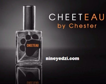 Cheeteau - Cheetos perfume