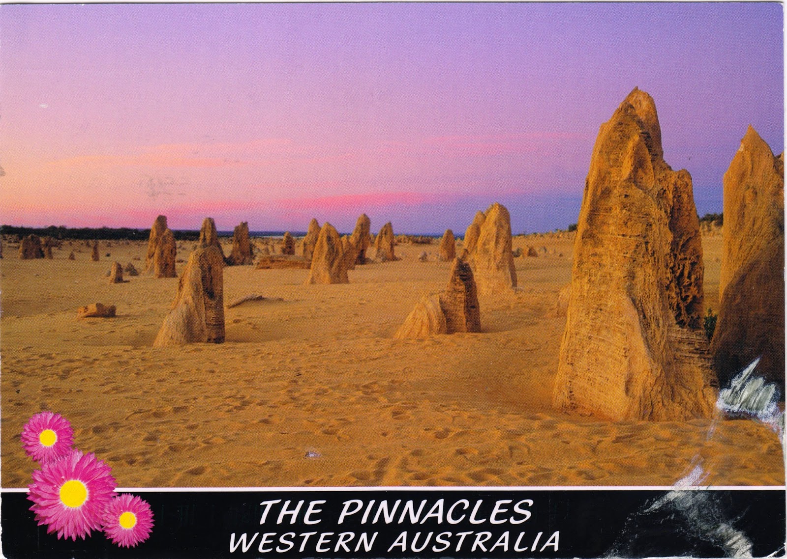 One Postcard a Day: The Pinnacles, Western Australia