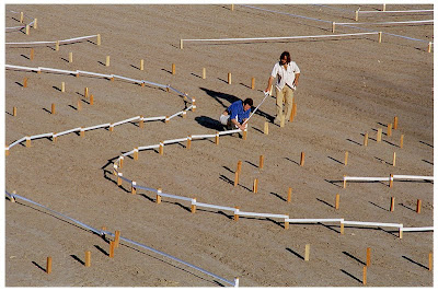 Borges entre los laberintos y las viñas de Mendoza