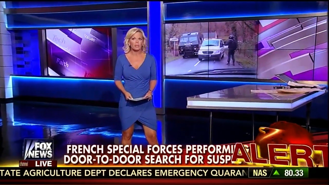 Reporter101 Blogspot: Jan 2015: Fox News Ladies this New Year.