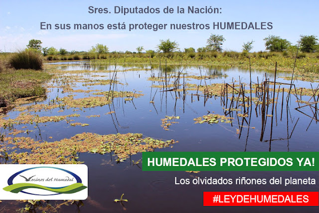 ARGENTINA: Humedales Sitios Ramsar "Humedales Península Valdés" (1 ...