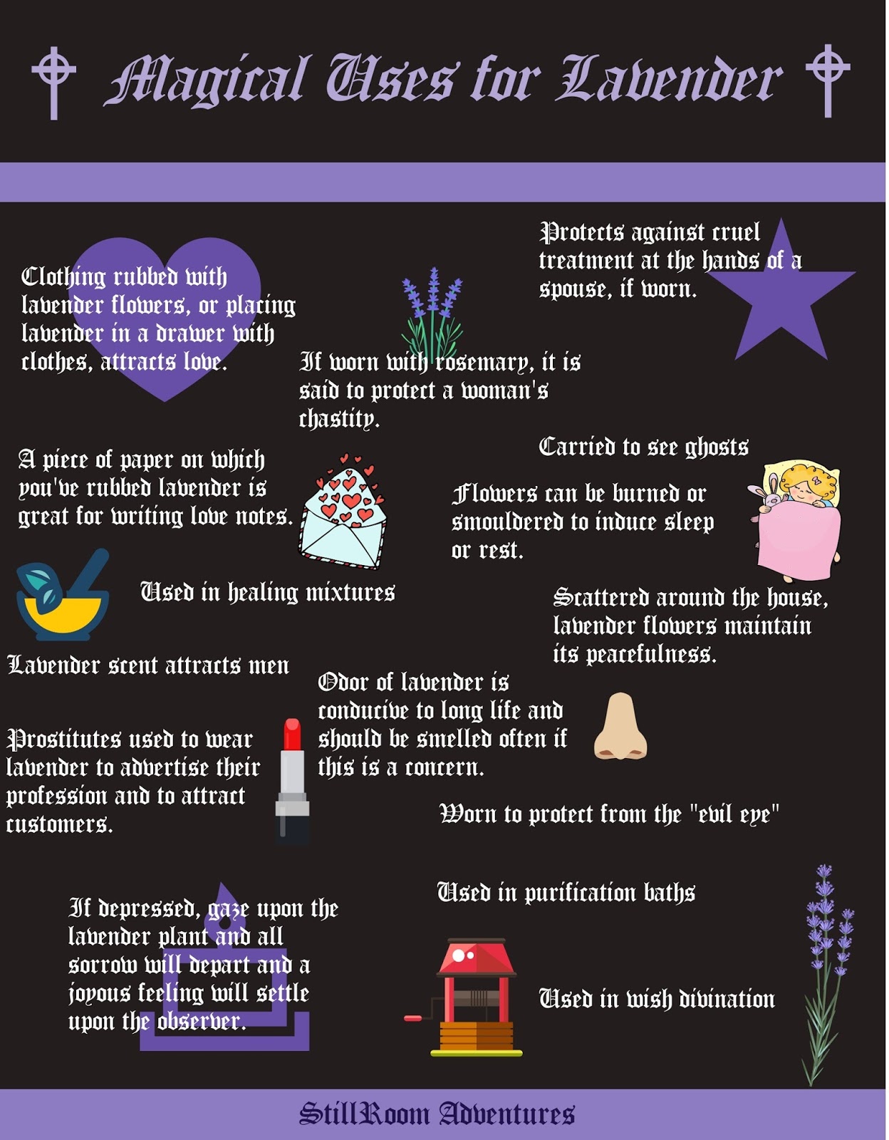 Lavender--The Ultimate Guide