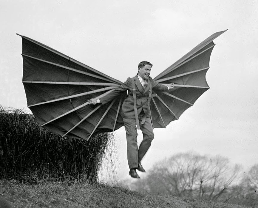 NOSOTROS: las personas: El problema de dar alas a quien no sabe volar