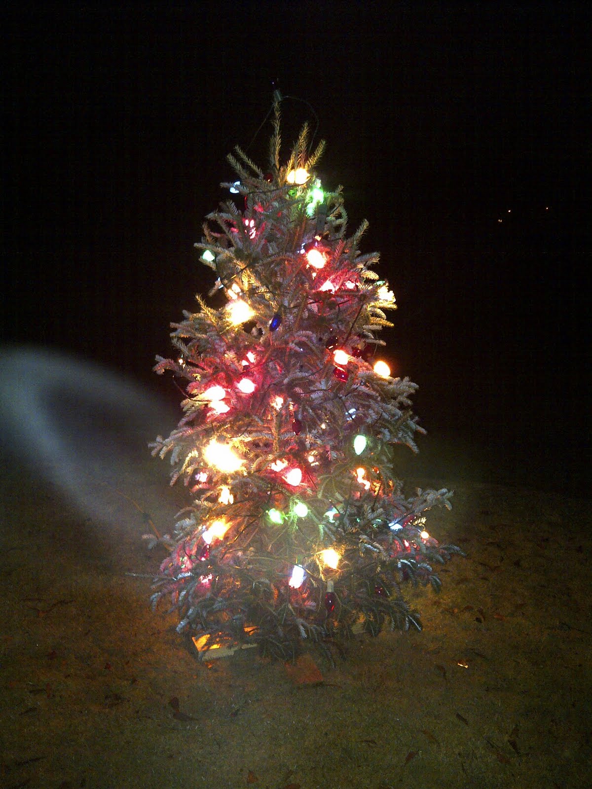 Cedar Posts and Barbed Wire Fences: Haunted Christmas Tree