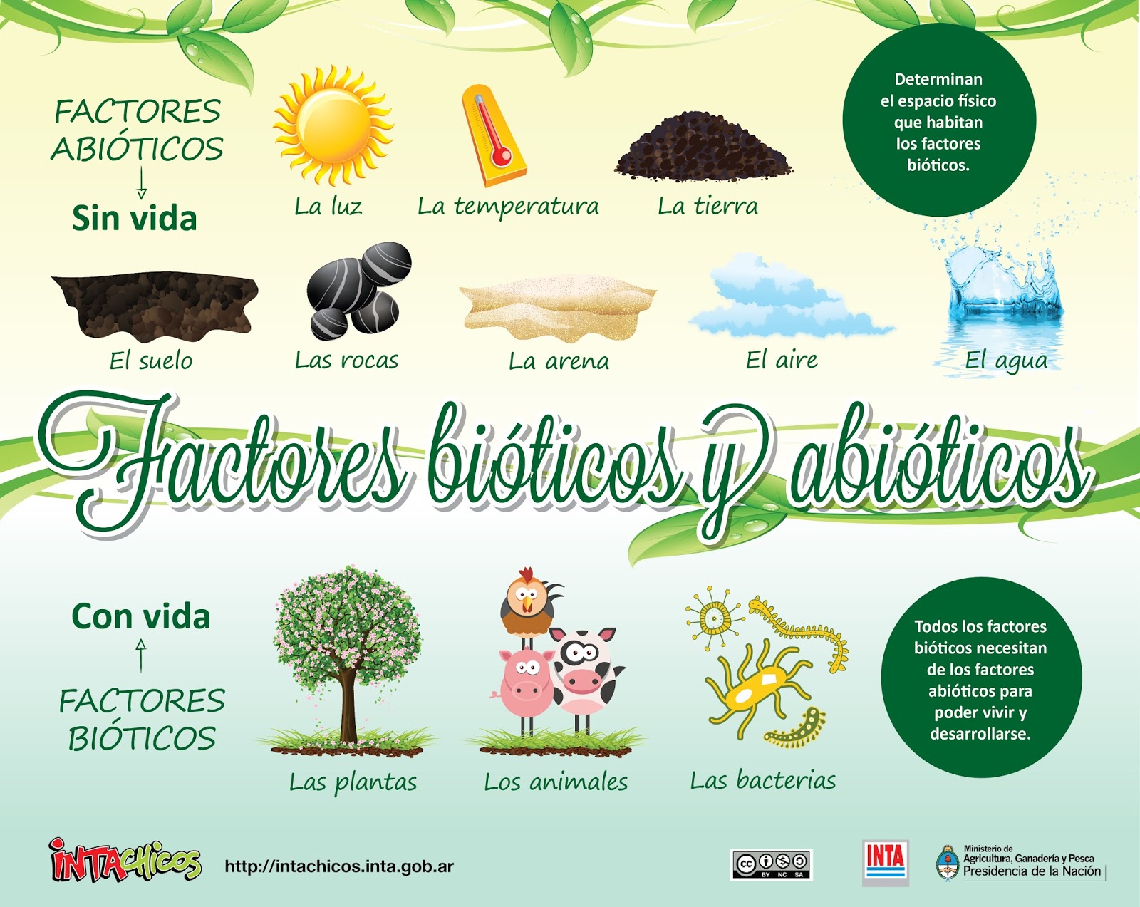 Factores De La Biología Descubre Su Influencia En La Naturaleza