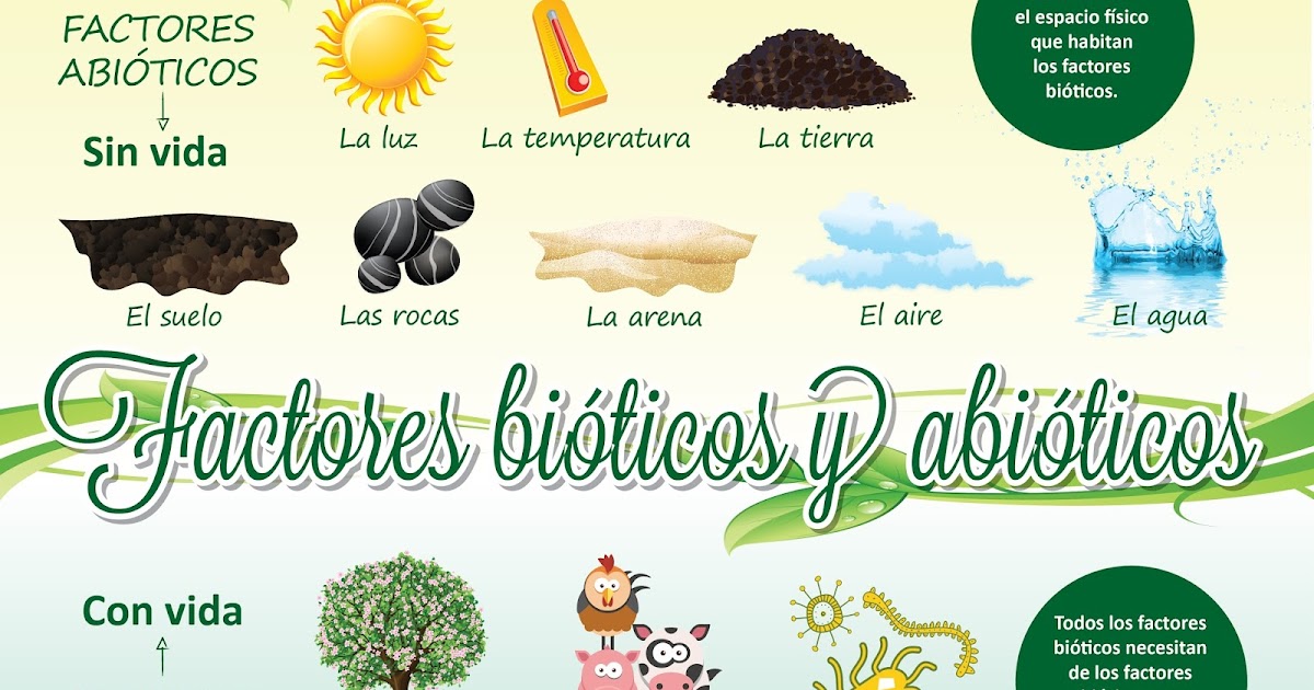 Abiotico y Biotico ~ Ecologia mi vigia de la vida.