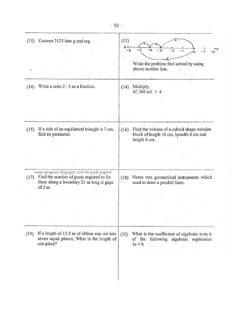 Past papers: Grade 7