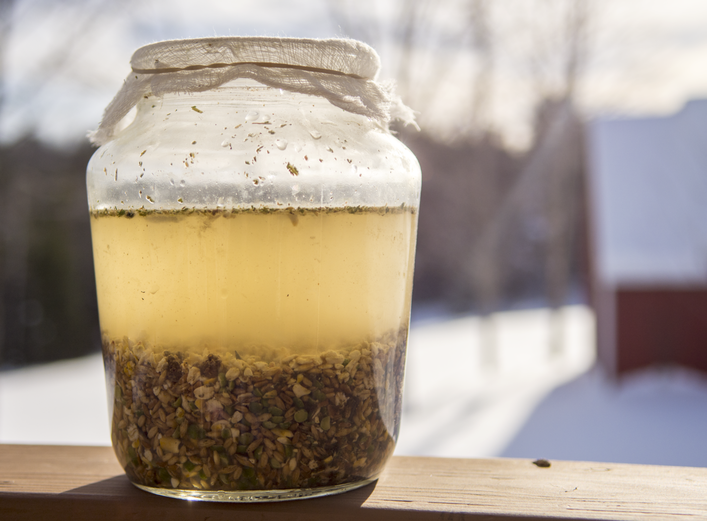 10 Tips for Better Fermented Feed for your Chickens - Fresh Eggs Daily ...