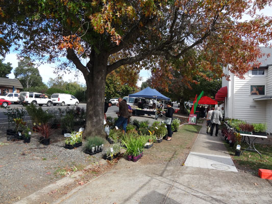 a bit of everything: a visit to the Ballan Farmers Market!