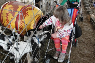 Rolling Ridge Ranch | City Girl, Farm Life