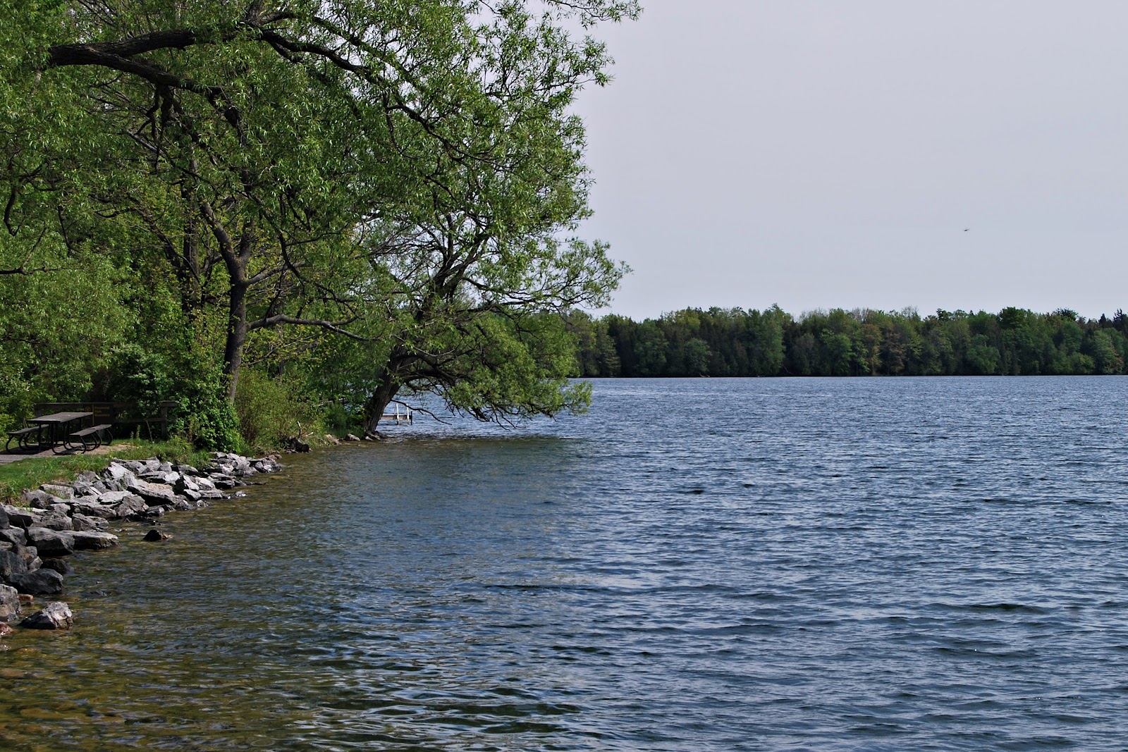 Lilac Gate: Lake on the Mountain