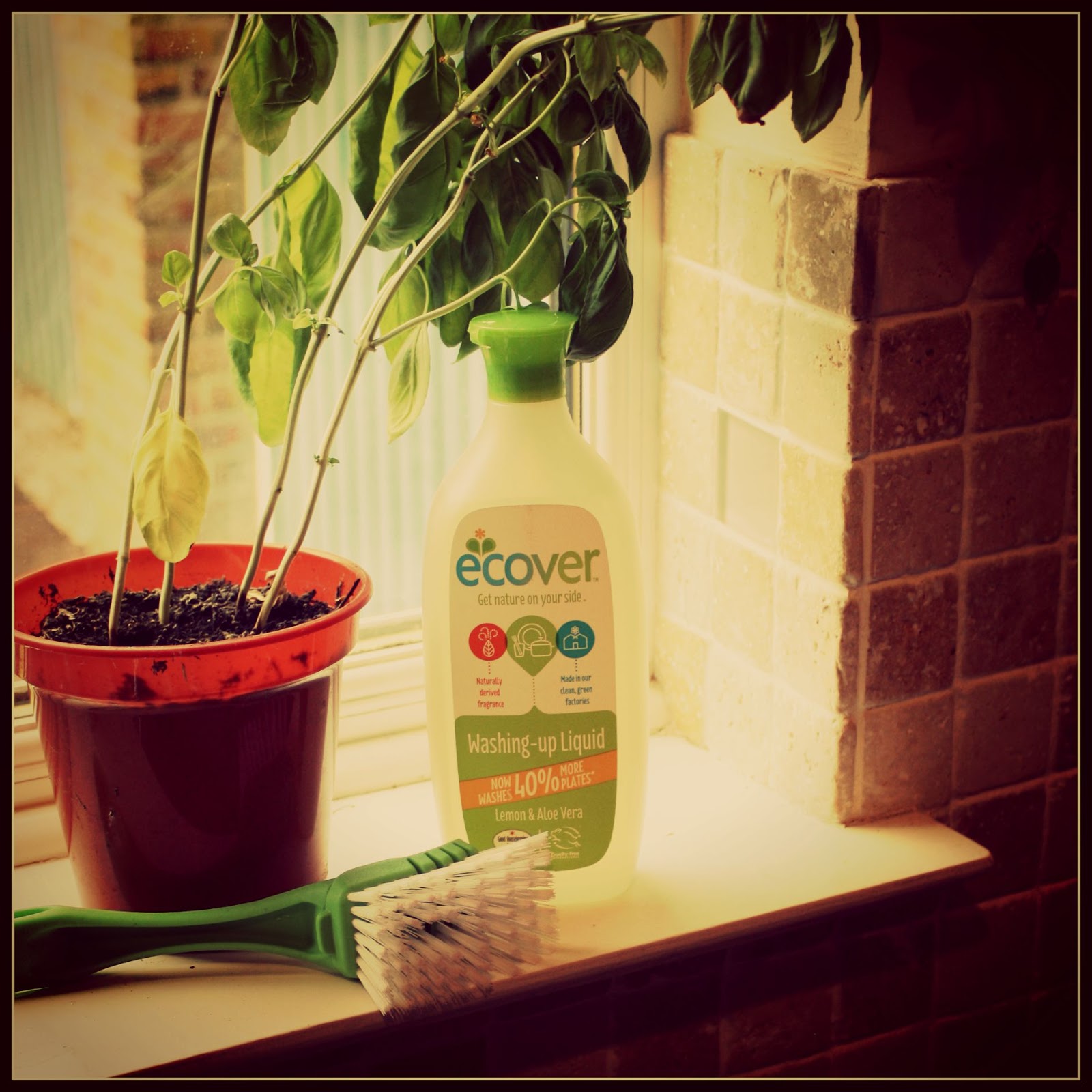 Mellow Mummy: Ecover - Cleaner, Greener Washing Up... My Way : Taking ...