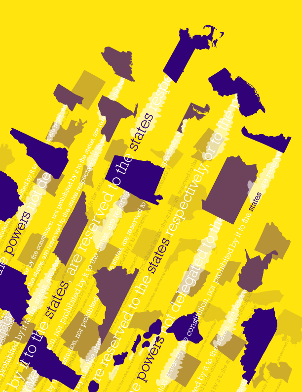 Stephen's Blog of Art and Design: The 10th Amendment