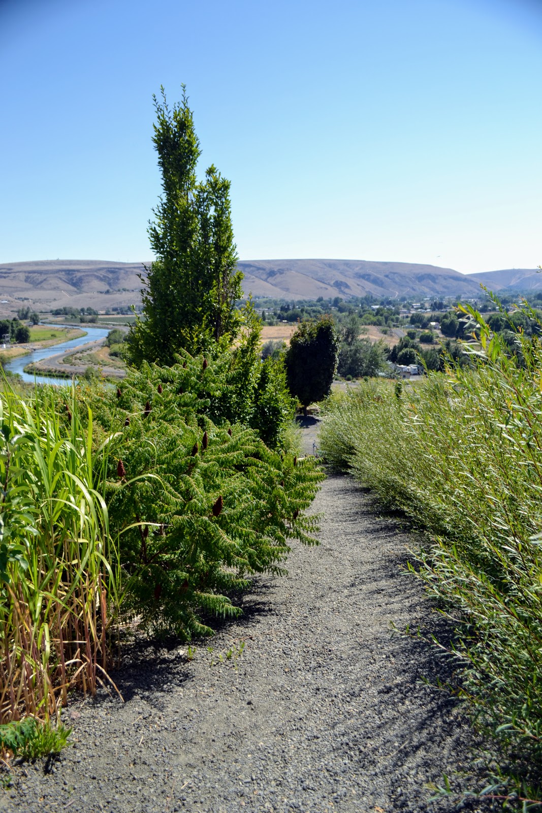 The Outlaw Gardener: The Garden of Rick Main and Kim Brewer