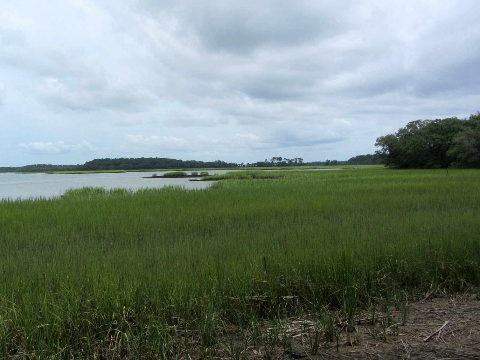 Using Georgia Native Plants: Pinckney Island National Wildlife Refuge