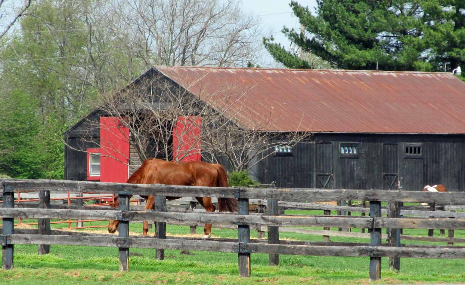 Summit Musings: Barn Charm - Horses on a Spring Day