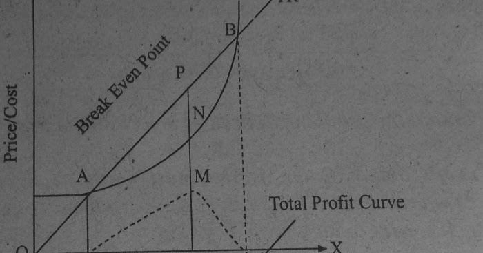 Project Management: Profit Maximization Objective of a Firm