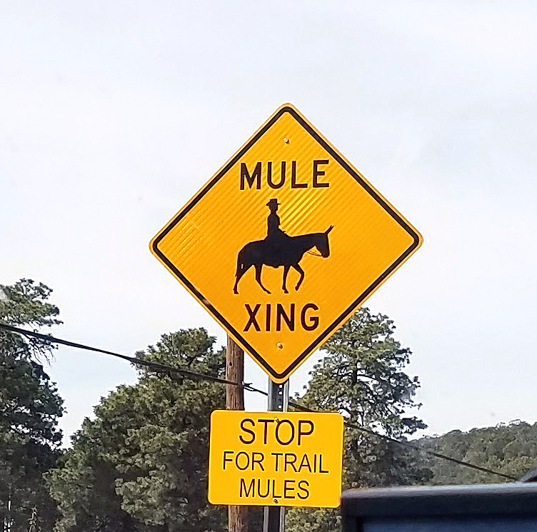 On the Light Side: Wild West Warning Signs