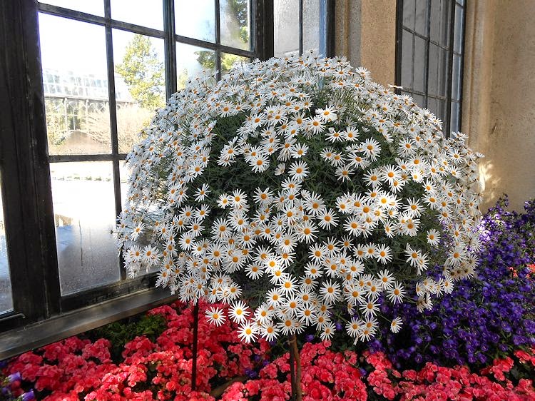 My Virtual Garden 2: Spring at Longwood Gardens