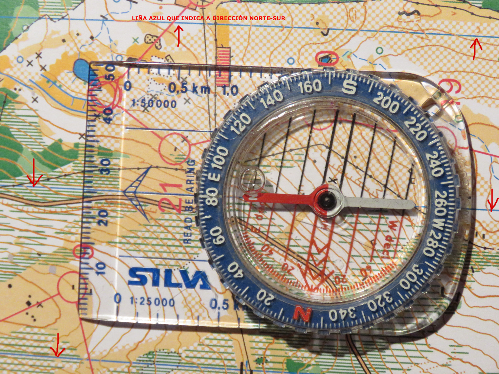 TÉCNICAS BÁSICAS ~ ORIENTACIÓN DEPORTIVA-CLUB USC