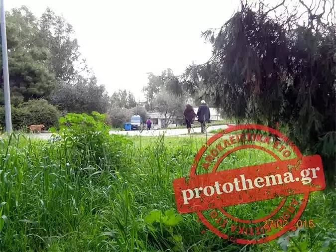 ΦΩΤΟΓΡΑΦΙΕΣ ΝΑ ΤΡΑΒΑΤΕ ΤΟΝ ΖΟΥΡΛΟΜΑΝΔΙΑ ΣΑΣ: ΔΕΙΤΕ ΤΗΝ ΒΙΚΥ ΣΤΑΜΑΤΗ ΝΑ ...