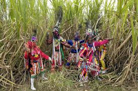 VisiónArte: Manifestaciones Culturales Dominicana: Carnavales por ...