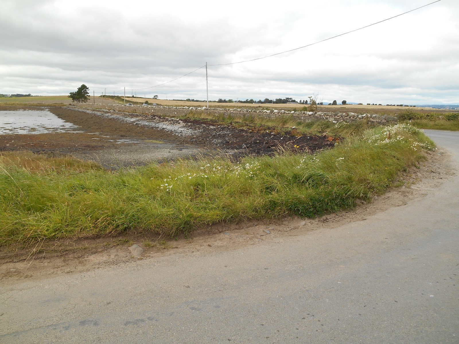 A lifetime of Islands: Island 290 - Reagh Island, Strangford Lough ...