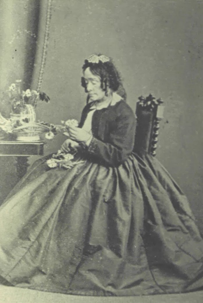 ANNE PRATT (1806-1893): About Anne Pratt