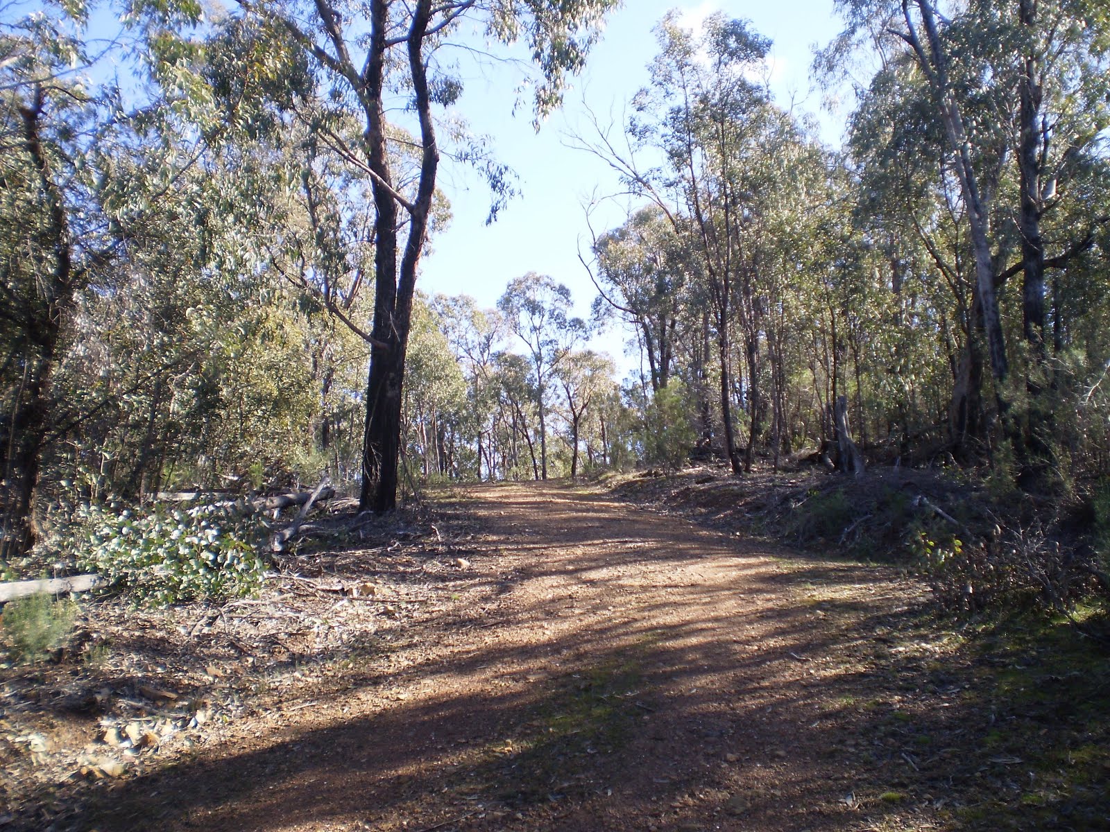 Phil's Bushwalking Blog: Bullen Range Nature Reserve: Southern Ridge ...