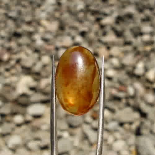 Khasiat Batu Fosil Amber