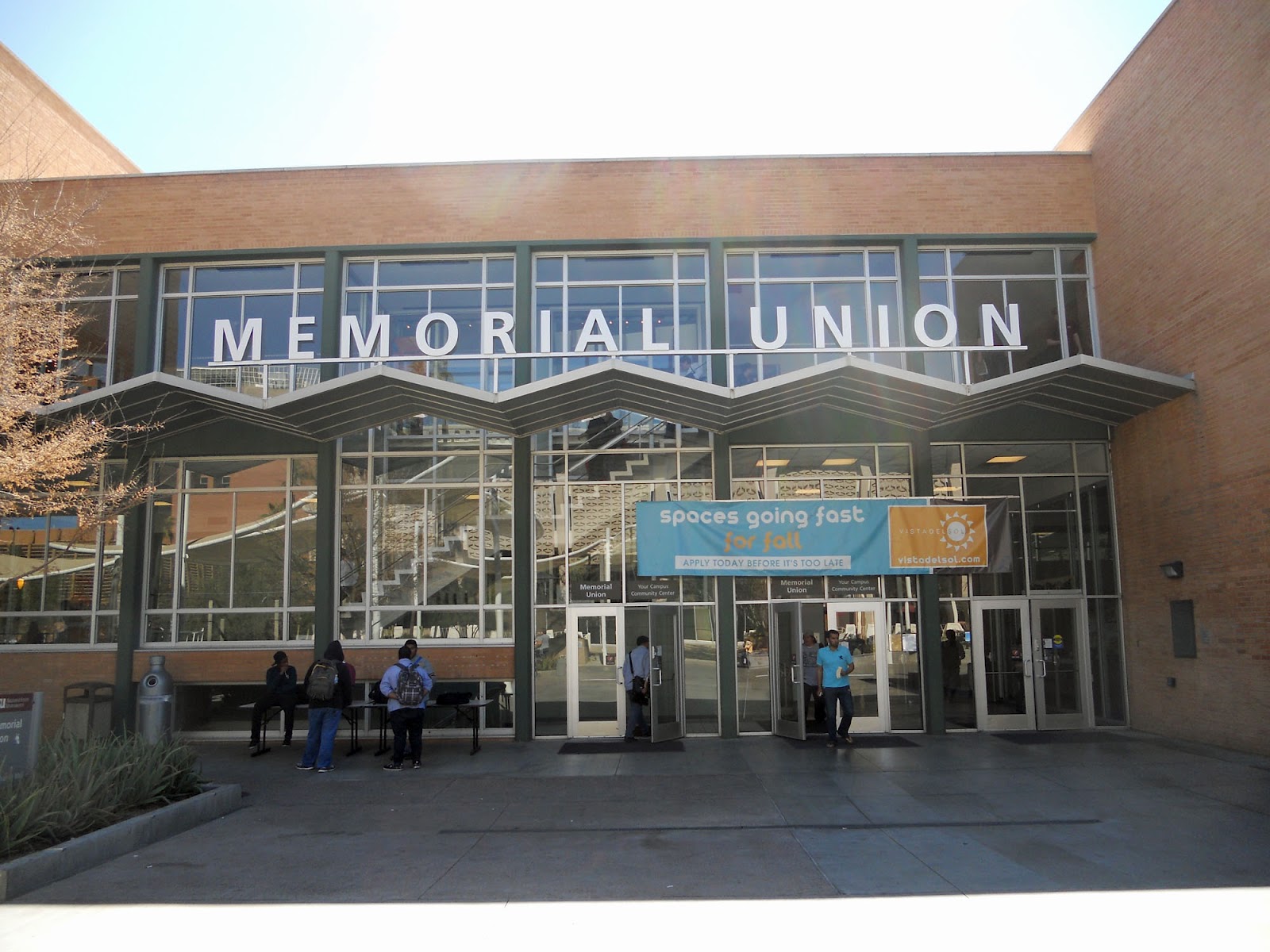 Chicos and Beans: A Desert Vegan Survival Guide: Engrained, Arizona ...