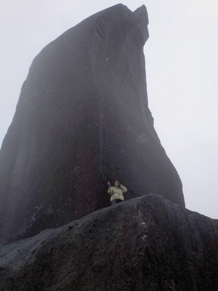 Yakushima Life: Yakusugiland - Overlooked Beauty