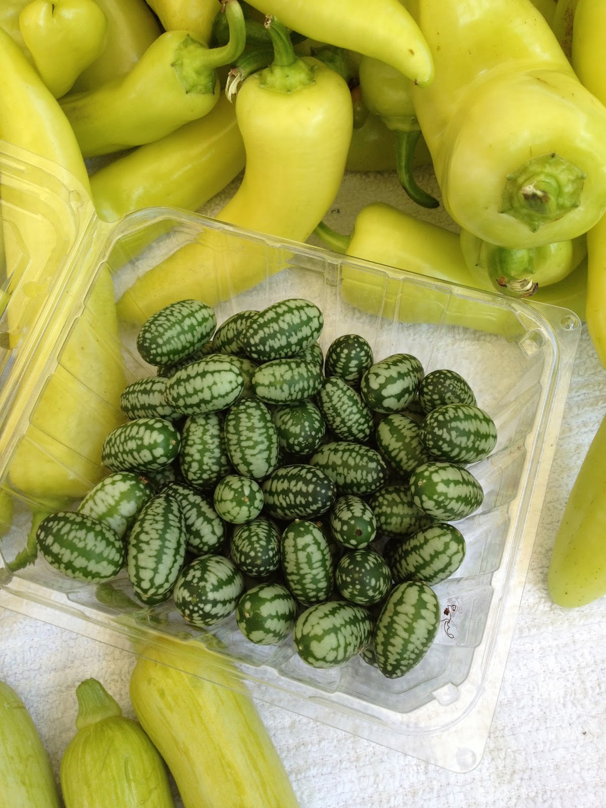 Garden Musings from Memphis Area Master Gardeners: Mexican Sour Gherkins