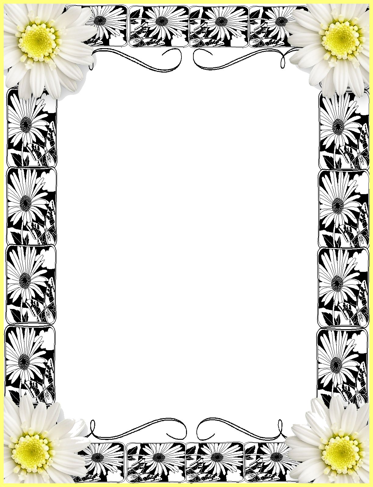 30 Beautiful Daisy Borders