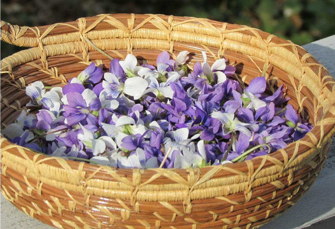 Nourishing Herbs: Virtuous Violets for Culinary and Medicinal Use