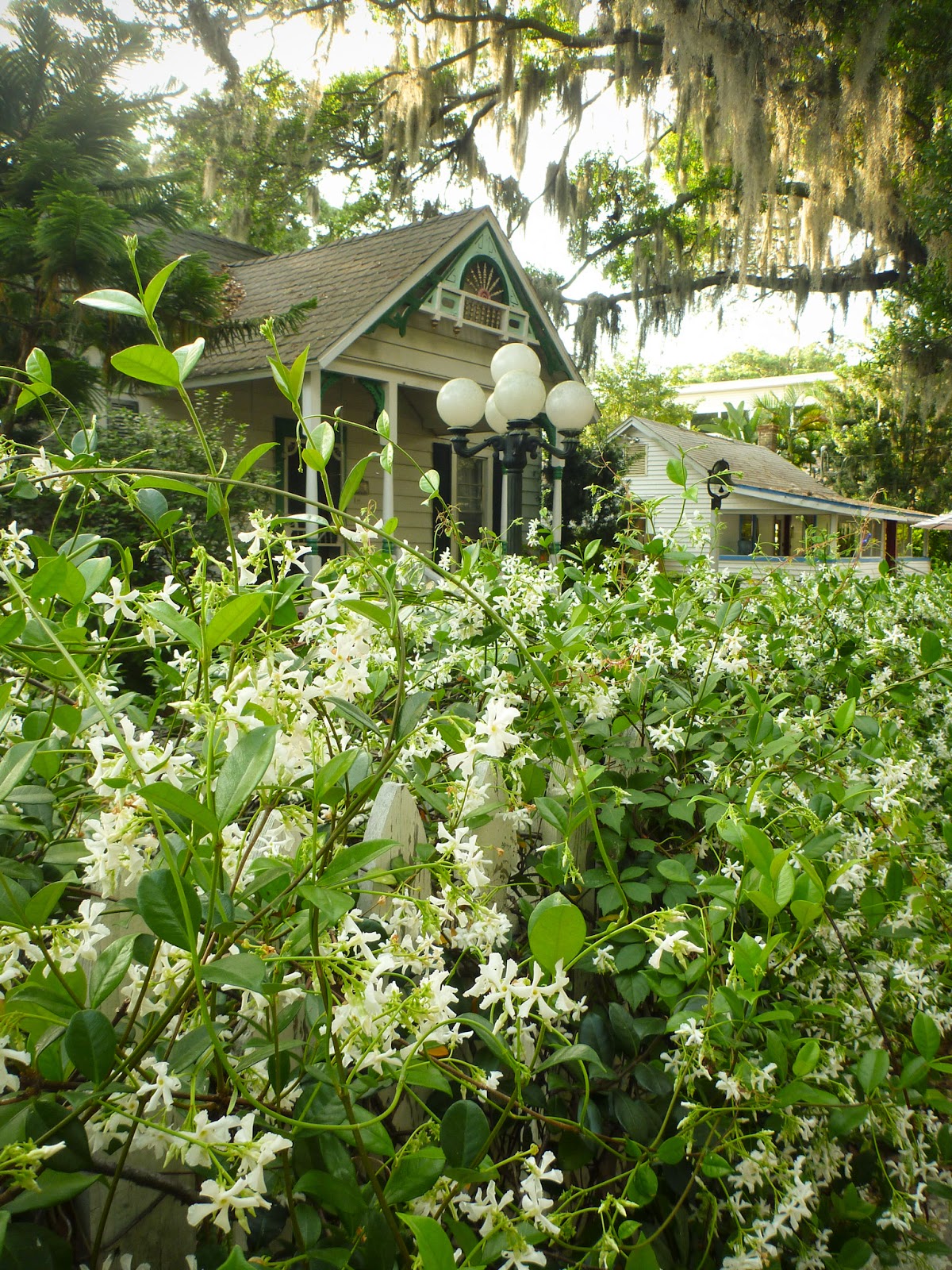 Old Florida: The Smells of Old Florida