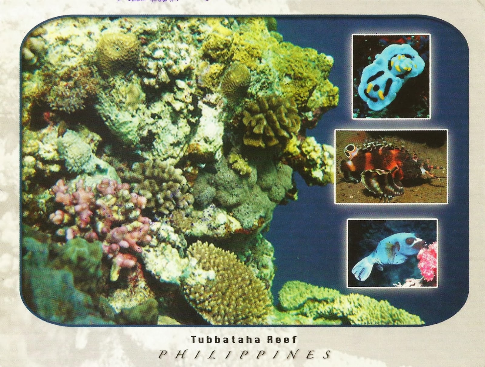 Postcards on My Wall: Tubbataha Reefs Natural Park, Philippines (UNESCO)