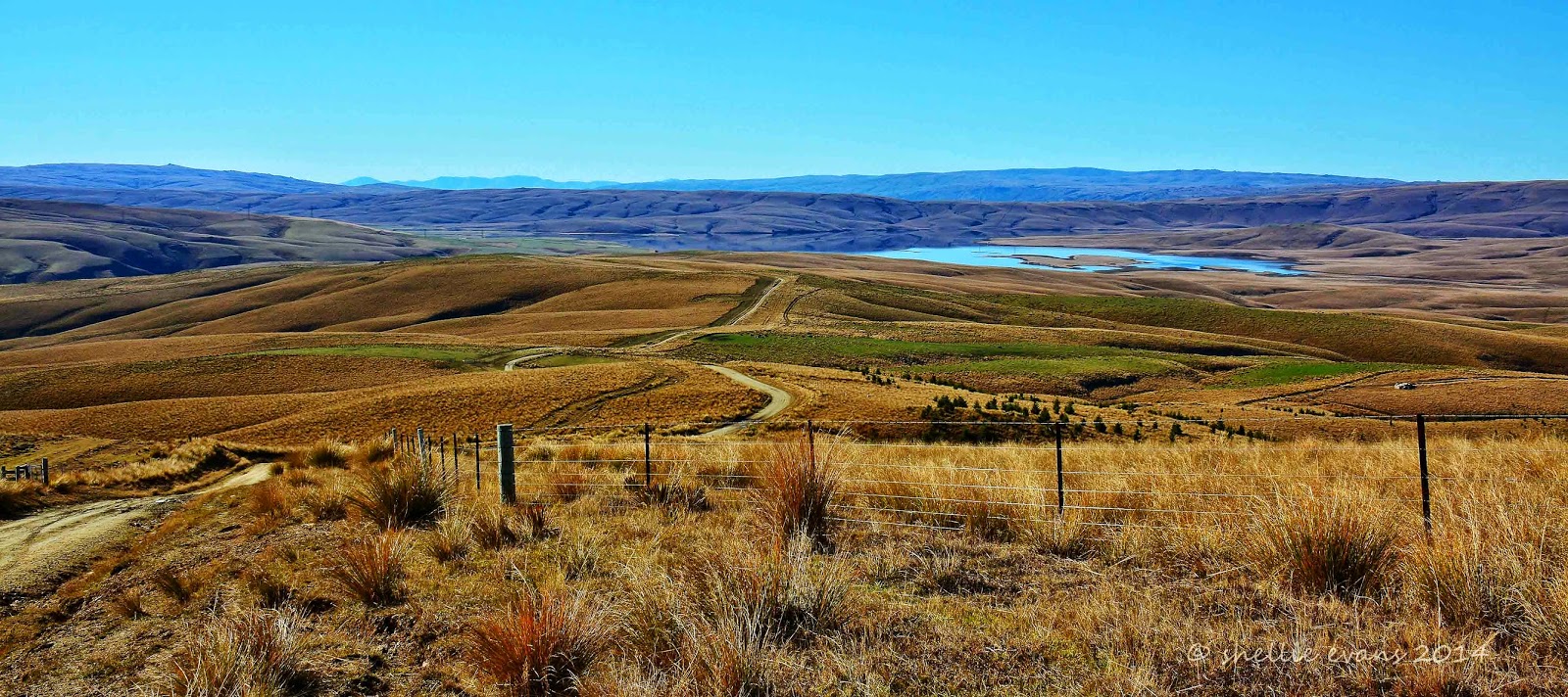 Two Go Tiki Touring: The Dismal Swamp- Lake Onslow