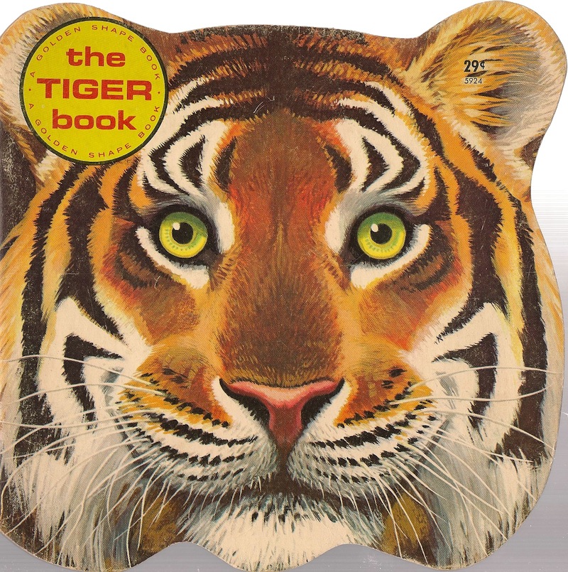 The Secret World of Hazel Catkins: The Tiger Book A Golden Shape Book