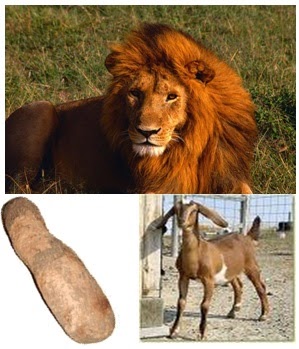 GCSE-Food & Health Protection : The Lion, the Goat and the Yam Test for ...