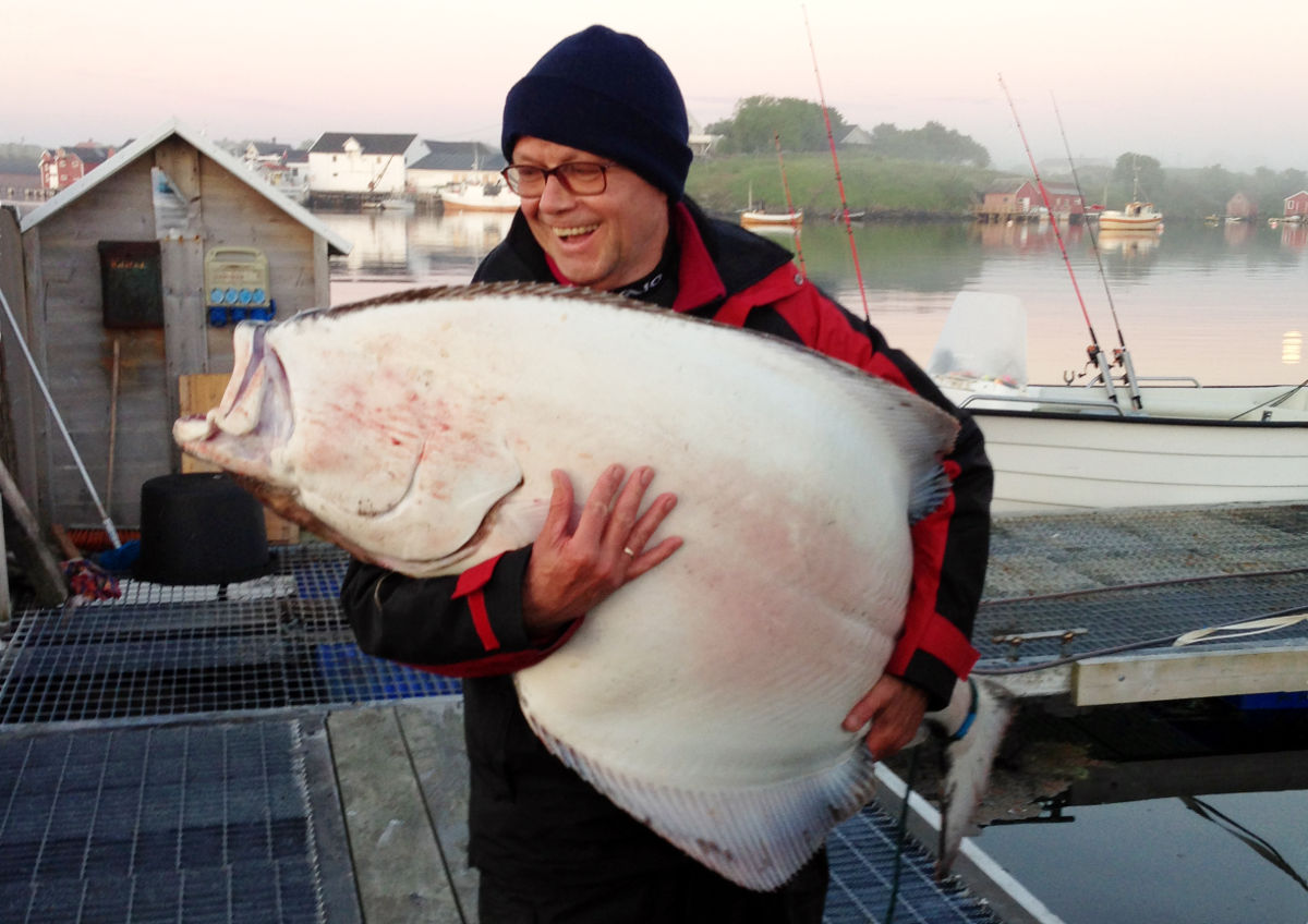 Wędkowanie w Norwegii: Halibut - jednak ryba dla każdego