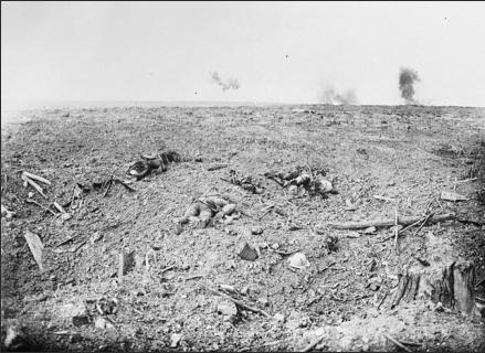 Canadian Expeditionary Force 1914-1919: THE BATTLE OF COURCELETTE AND ...