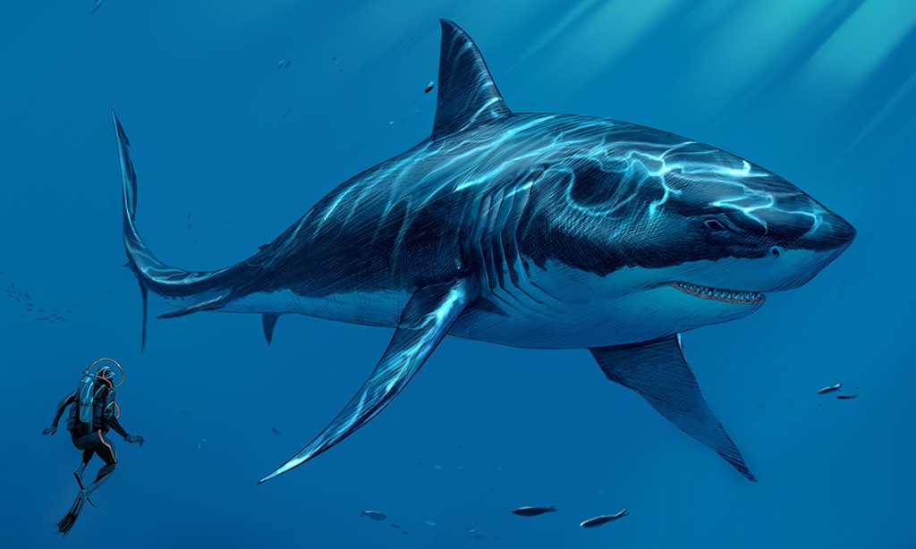 Dinossauros: Megalodon