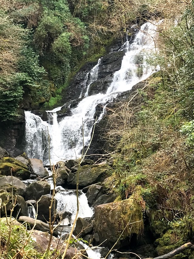 CME Limerick & Killaloe: Readings, hymns and sermon ideas for Sunday 8 ...