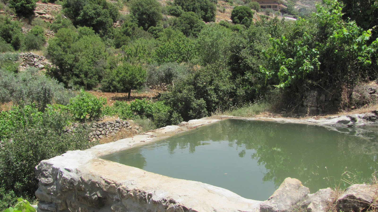 Israeli separation wall threatens world heritage site of Battir ...