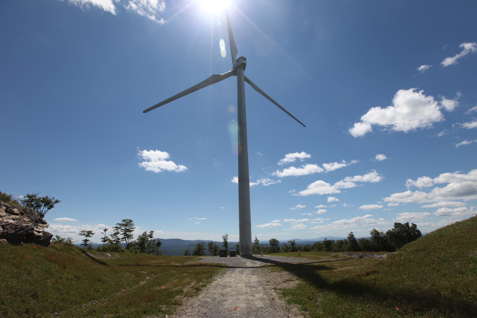 Northeast Ecological Services: Understanding wind turbine impacts on ...
