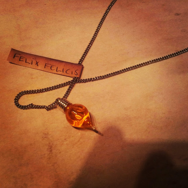 I Nøstes lille hule: Mitt store jule Harry Potter prosjekt