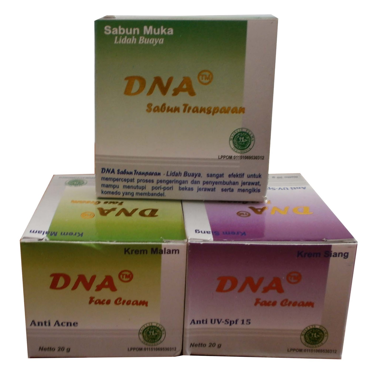DNA FACE CREAM-PERAWATAN WAJAH ALAMI