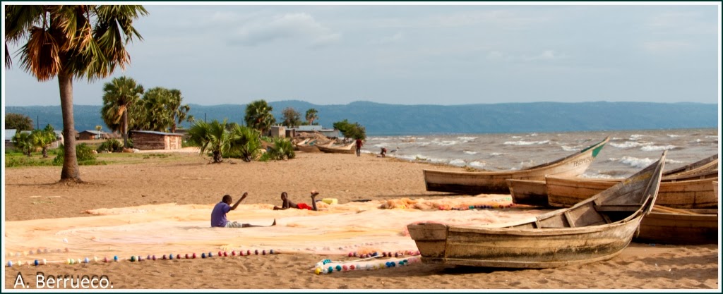 SIBISNUS: UGANDA: BUTIABA (LAGO ALBERTO) - RUIGO (KIBELE CRÁTER)