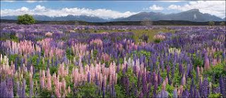 pendidikan seni visual: Ruang